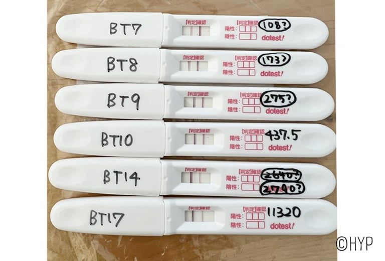 【ブログで報告】フライング検査の結果！HCGいくつで線は濃くなる？逆転現象は？ | HYPの勝手に暮らそうか